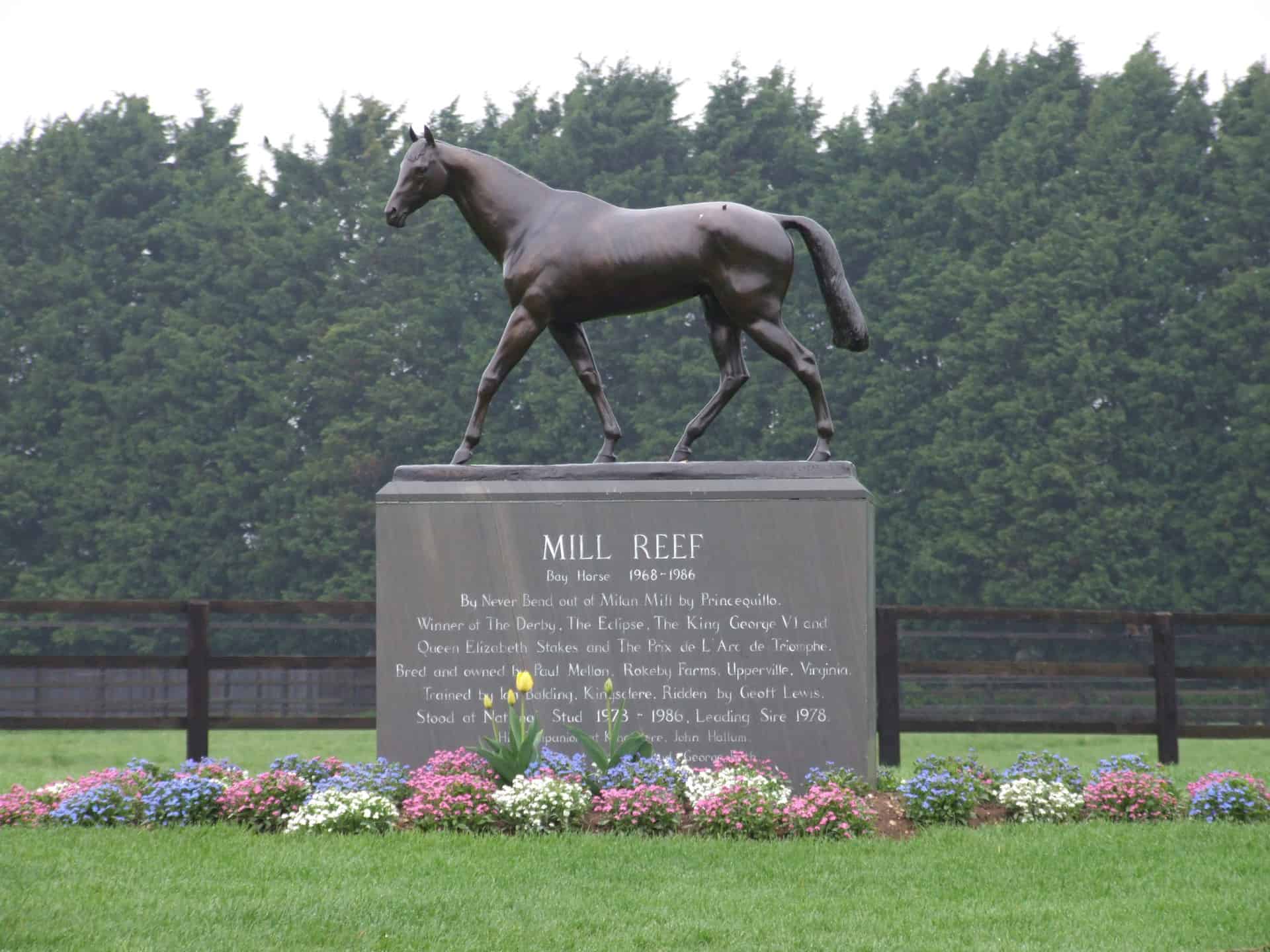 Photos 2011 – 2003