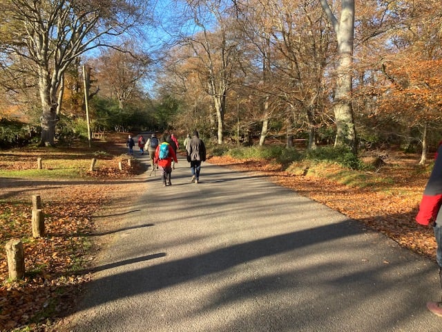 New Forest Walks – Barton on Sea Probus Club