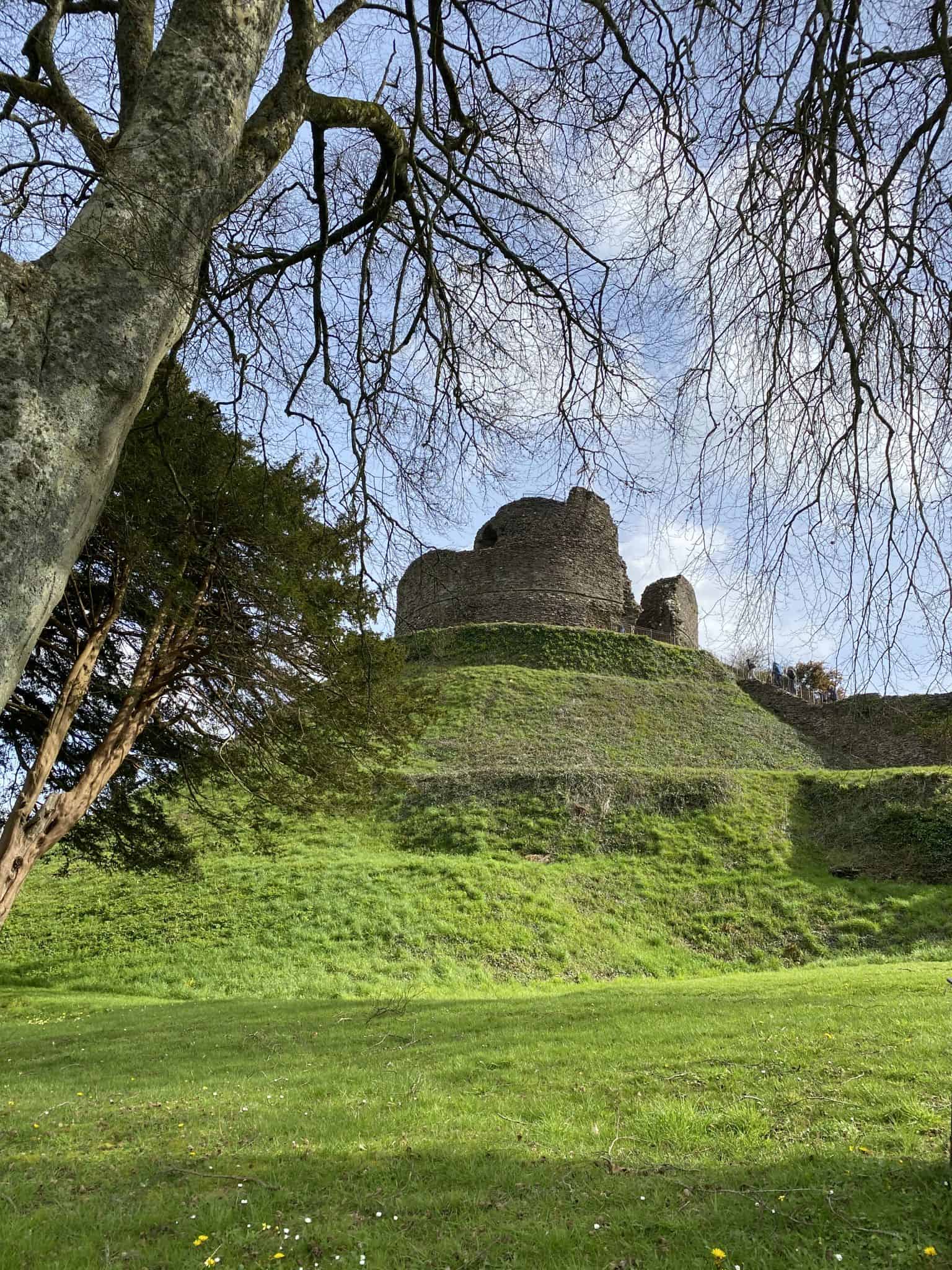 Gallery – The Probus Club of Launceston, Cornwall